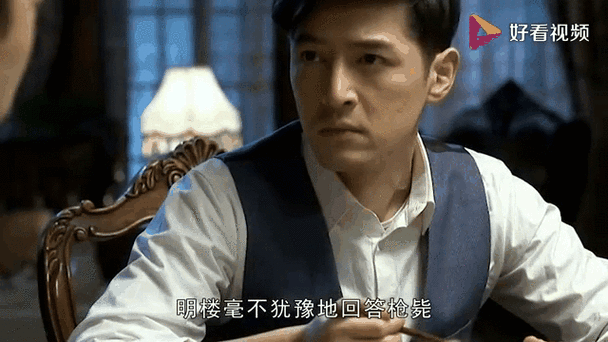 伪装者一共有多少集图标