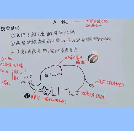 大象D30说明书电子版图标