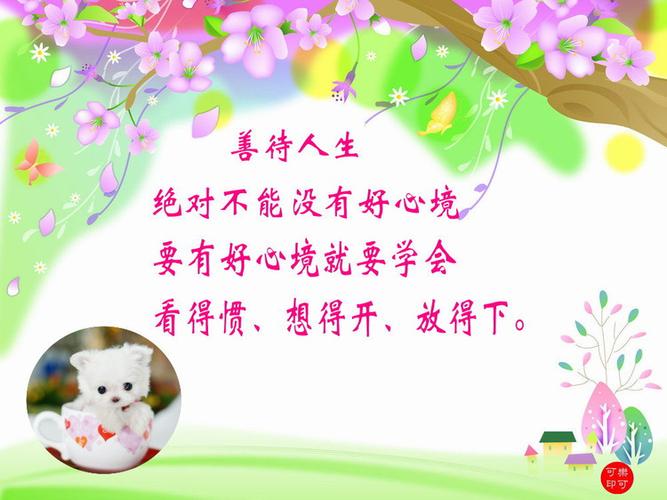 好心情的人生感悟截图