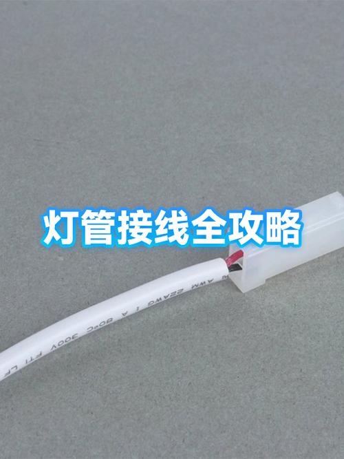 灯管蓝色和棕色线图标