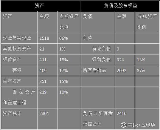 资产负债表年报样板