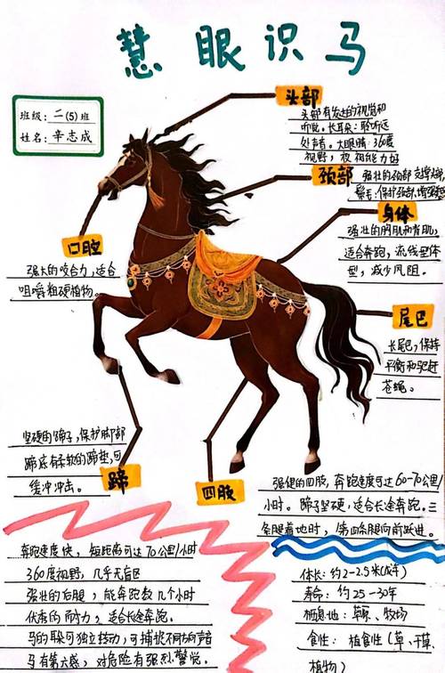 马镇三天瑞瑞攻略图标