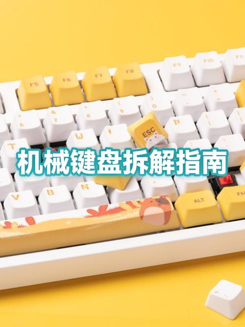 机械键盘不响应怎么回事图标