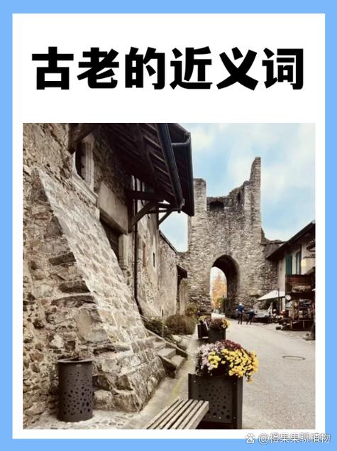 文化的近义词截图