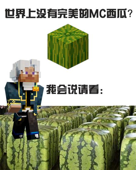 我的世界只有自己懂截图