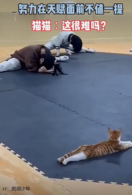 三角洲麦小鼠抬腿一字马小说截图