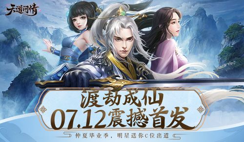 问道飞仙渡劫视频图标