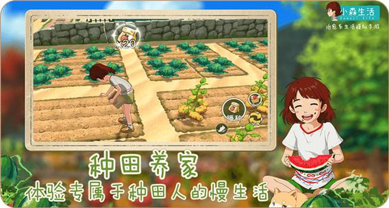 小森生活金币钻石版图标