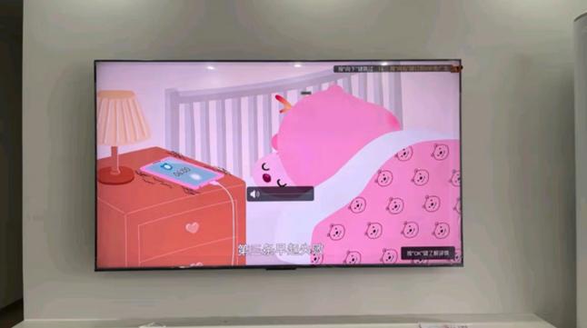 TCL电视看出厂日期图标