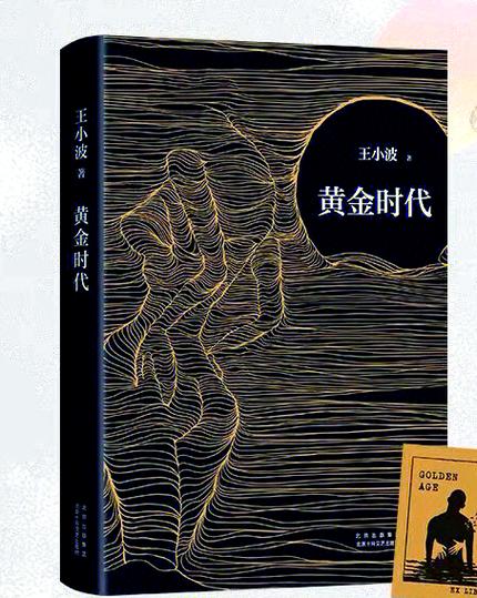 金子的小说作品图标