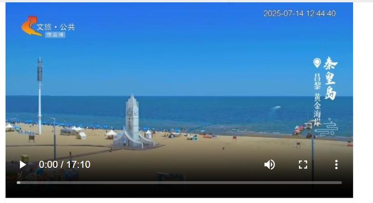 海浪直播图标