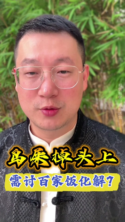 鸟粪落在头上什么意思截图