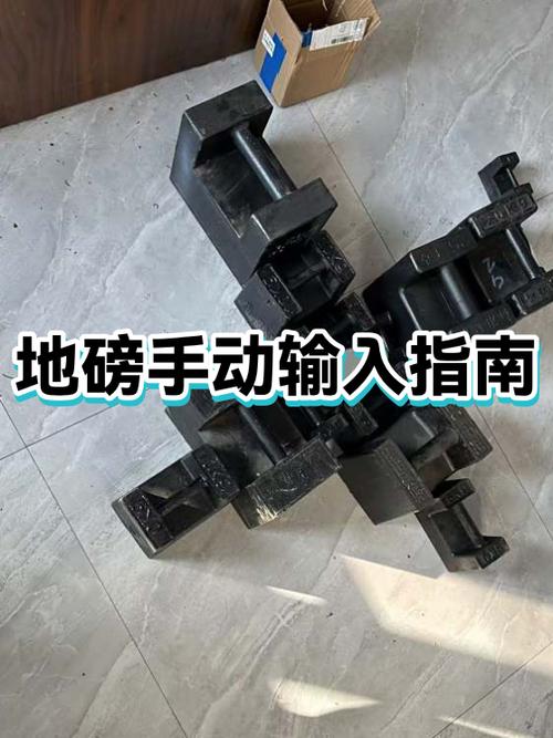 地磅怎么手动输入毛重截图