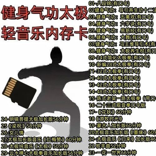 八段锦纯音乐mp3图标