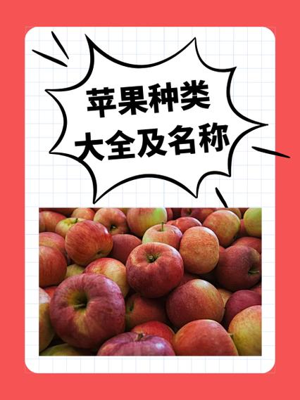 苹果名称大全