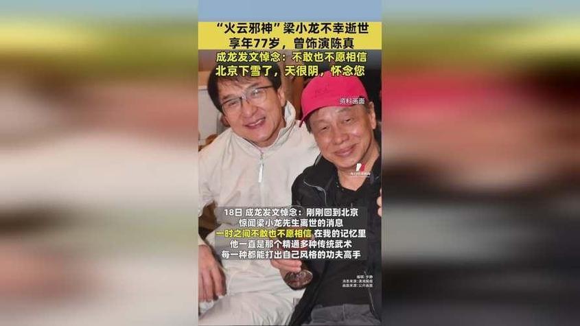 梁小龙成龙合作的电影截图