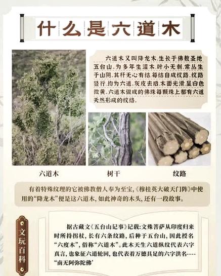 喑哑在佛教中的寓意