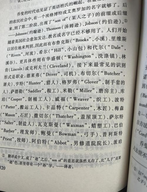 薛姓的英文翻译截图