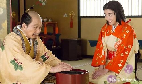茶茶大人是什么电视剧