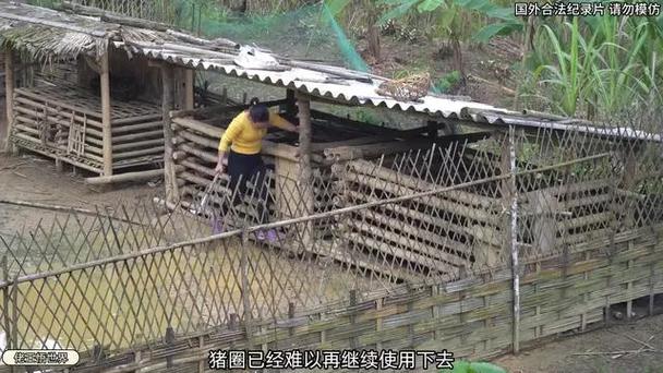 农村扫猪圈口诀大全图标