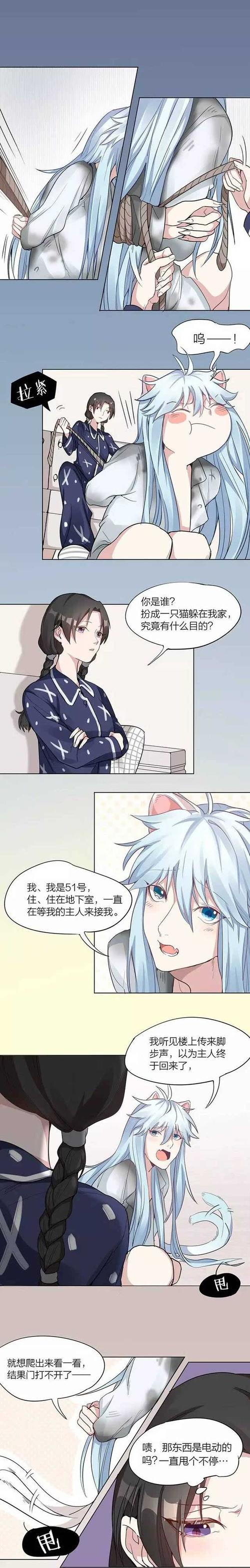 宠物王国龙云一全宠物属性变态版图标