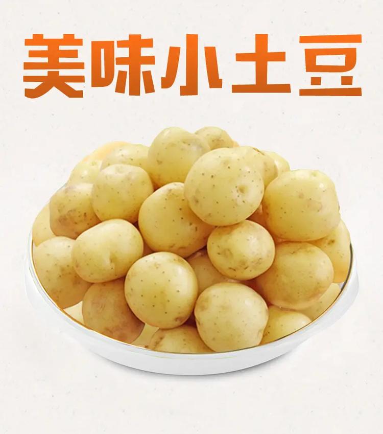 小土豆图标