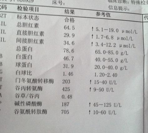 喝酒查血哪一项高截图