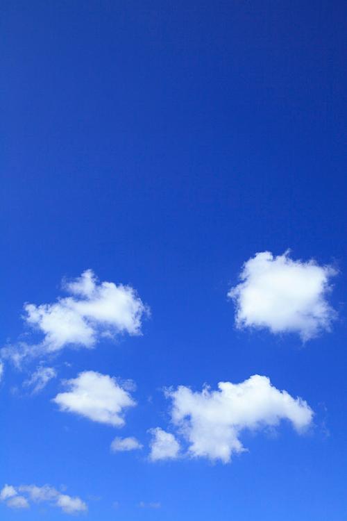 天空下载安装截图