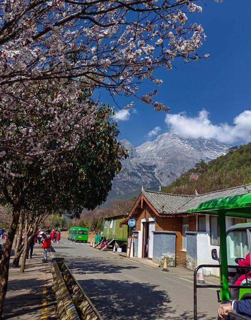 来大姨妈能爬玉龙雪山吗图标