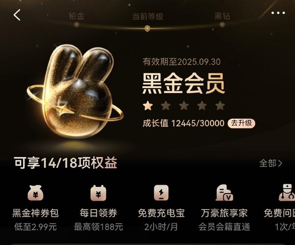 美团外卖超级会员图标