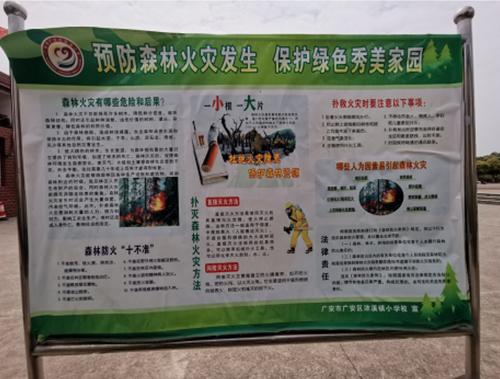 森林防火知识培训内容图标