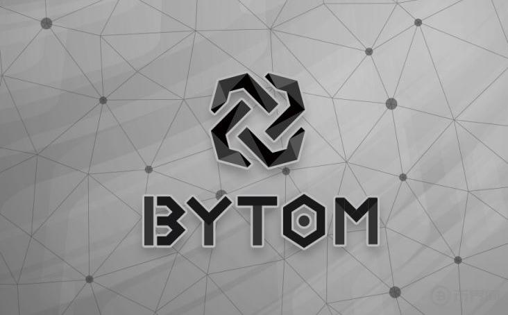 BTM币官网图标