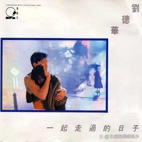 刘德华《一起走过的日子》图标