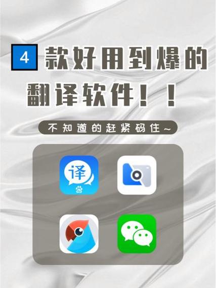 下载中越翻译软件截图