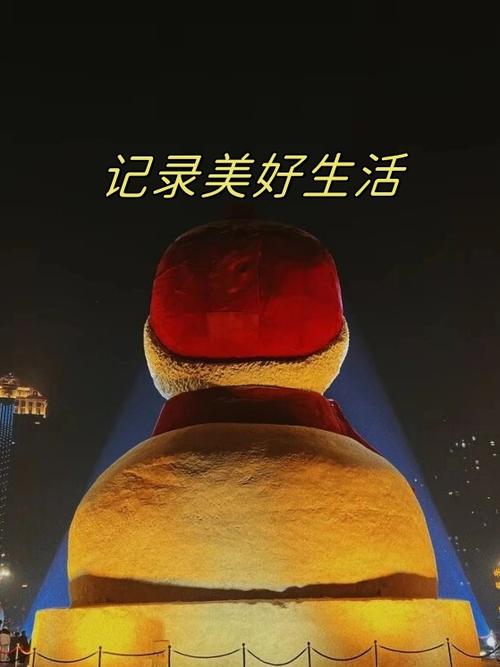 抖音记录美好生活免费观看图标
