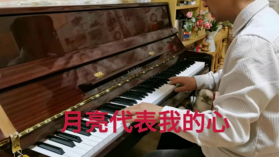 邓丽君伴奏曲(原版)图标