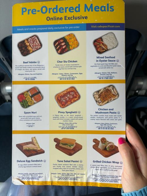 国际航班禁带食品清单图标