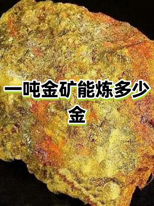 一个金矿一年能挣多少钱图标