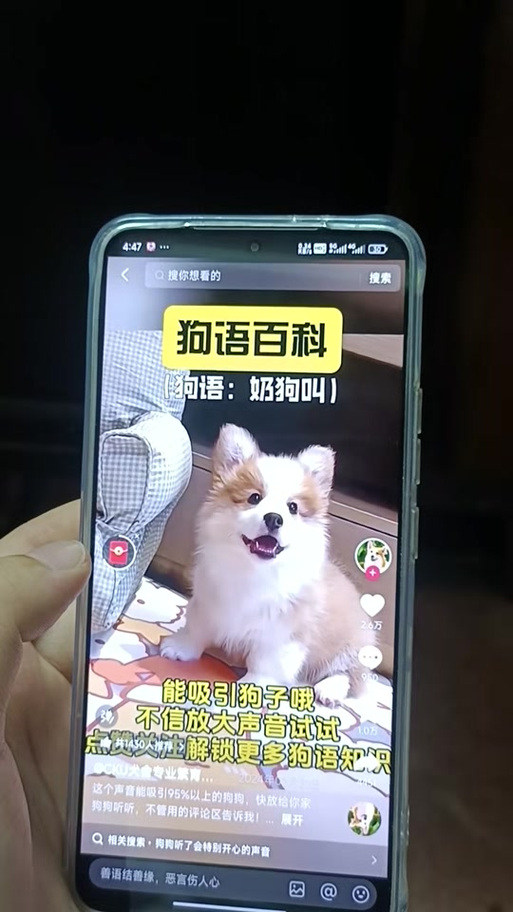 抖音小奶狗叫声视频图标