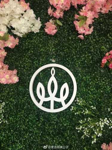 麦吉丽微商靠谱吗图标