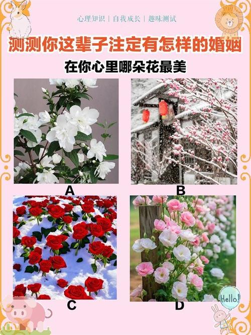 测你哪种女人命图标