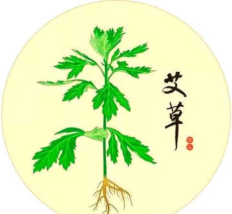 本草纲目草部艾全文图标