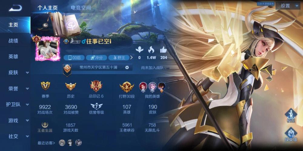 王者荣耀个人主页定位图标