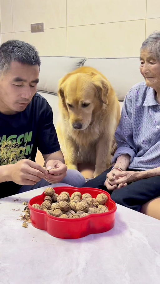 聪明旺豆豆截图