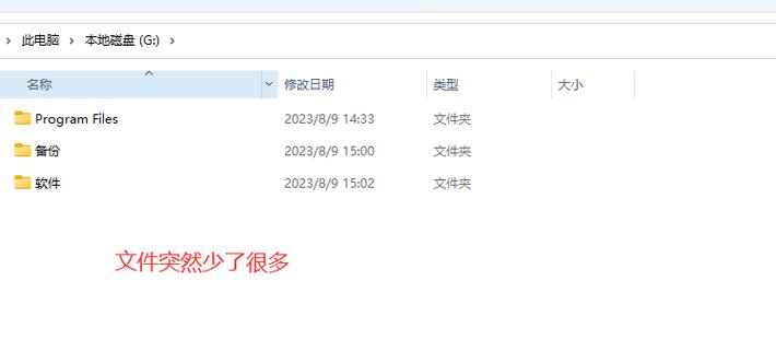 电脑文件不想让别人看图标