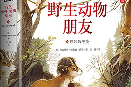 野性的呼唤5
