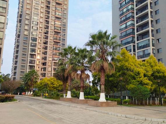 家园1.14.3去广告图标