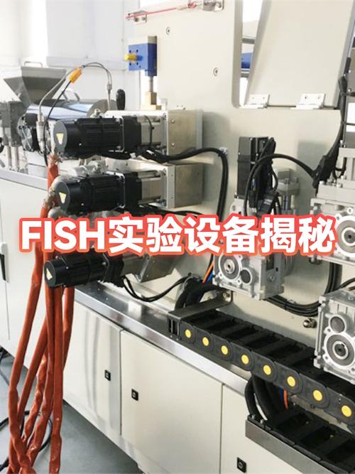 fish检测的费用一般多少钱图标