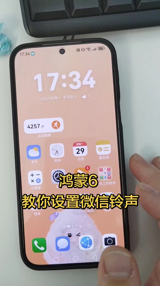 微信视频铃声有时不响图标