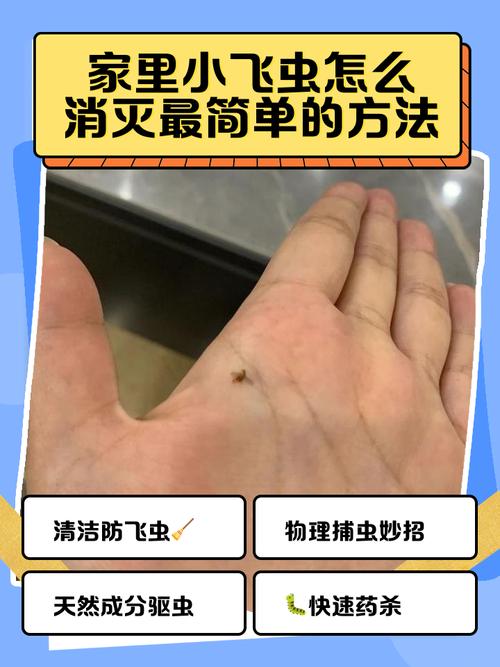 怎样消灭小飞虫截图